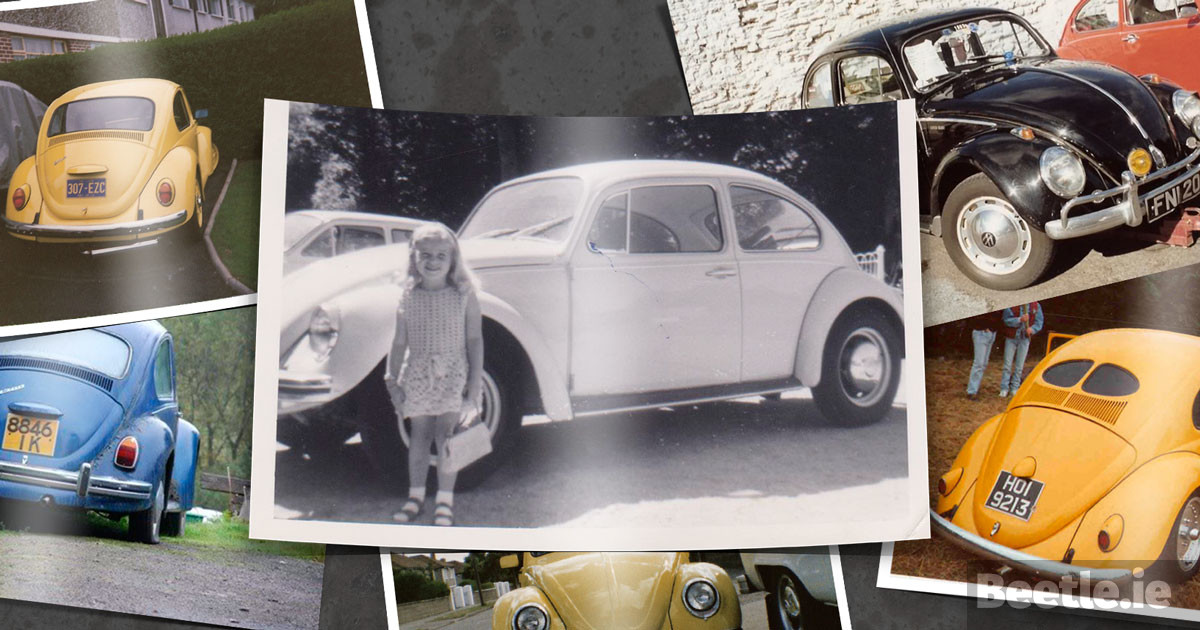Listings | Beetle.ie